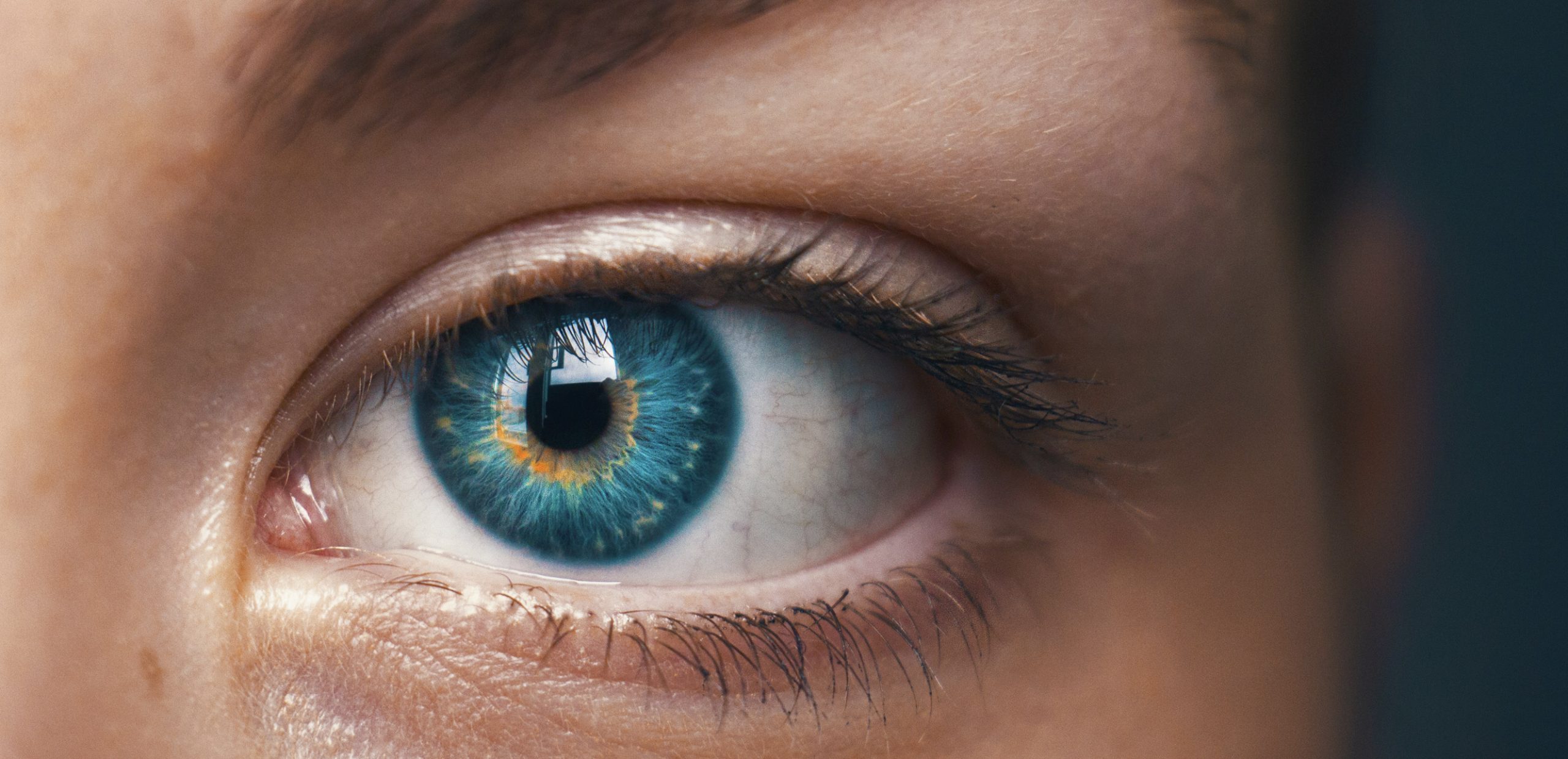 Beware of the Automation Point of No Return – Transition Level